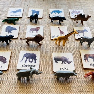 Montessori and Waldorf Learning Wild Animals Sustainable Match Toys ...