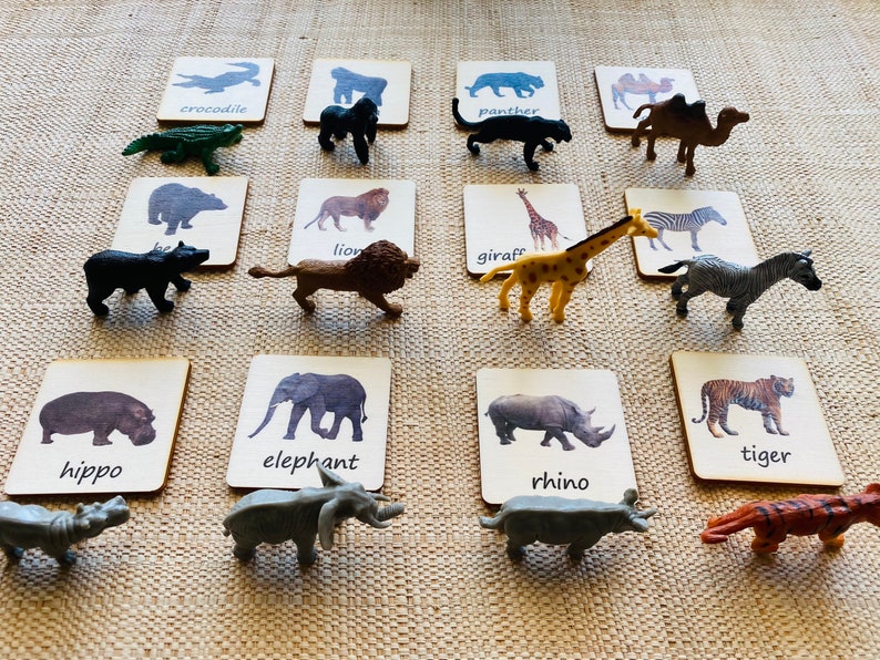 Montessori and Waldorf Learning Wild Animals Sustainable Match - Etsy