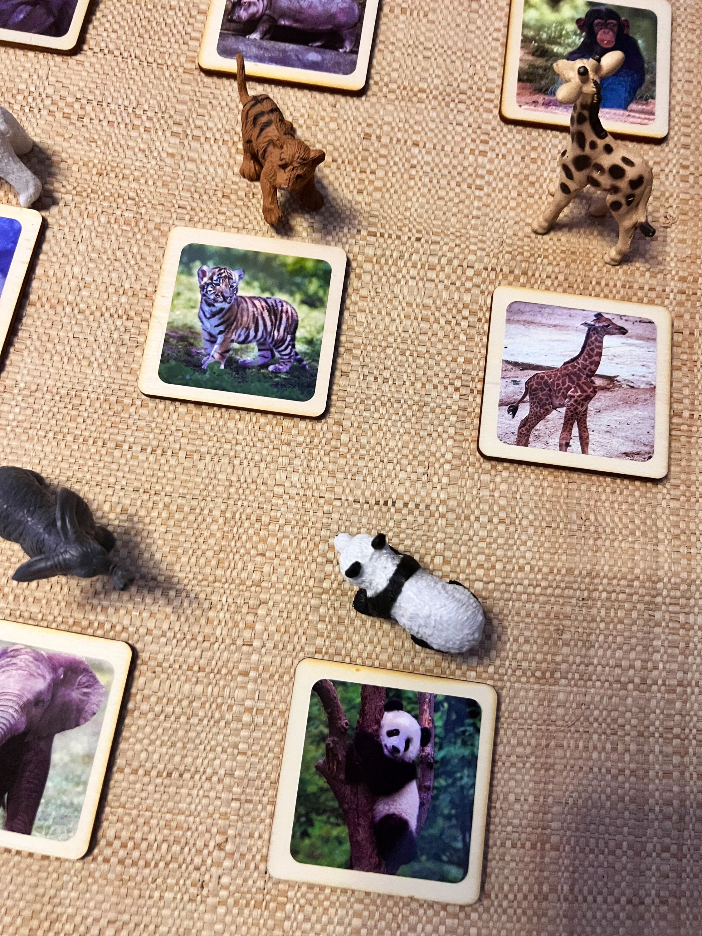Montessori Baby Zoo Animal Matching Game, Wooden Cards - Etsy