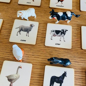 Montessori and Waldorf Learning Farm Animal, Sustainable Match Toys ...