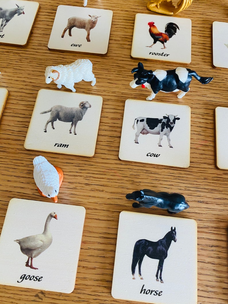 Montessori and Waldorf Learning Farm Animal, Sustainable Match Toys ...