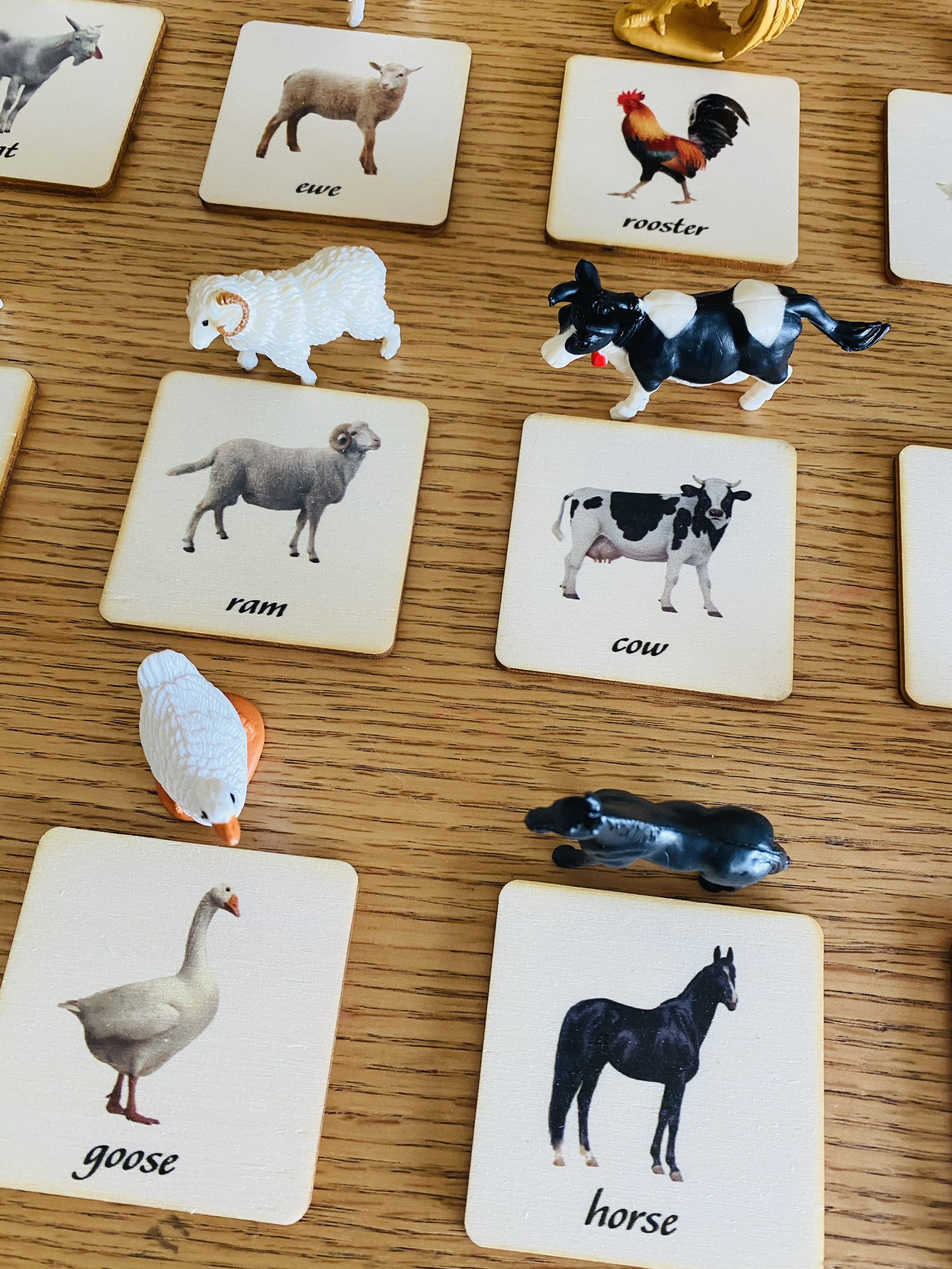 Montessori Farm Animal Matching Cards, Homeschool Learning Toys - Etsy