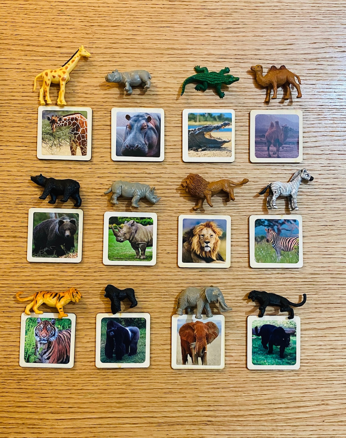 Montessori Wild Animals With Figurines Safari Toob Ltd | Etsy