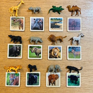 Montessori Wild Animals With Figurines Safari Toob Ltd , Matching Game ...