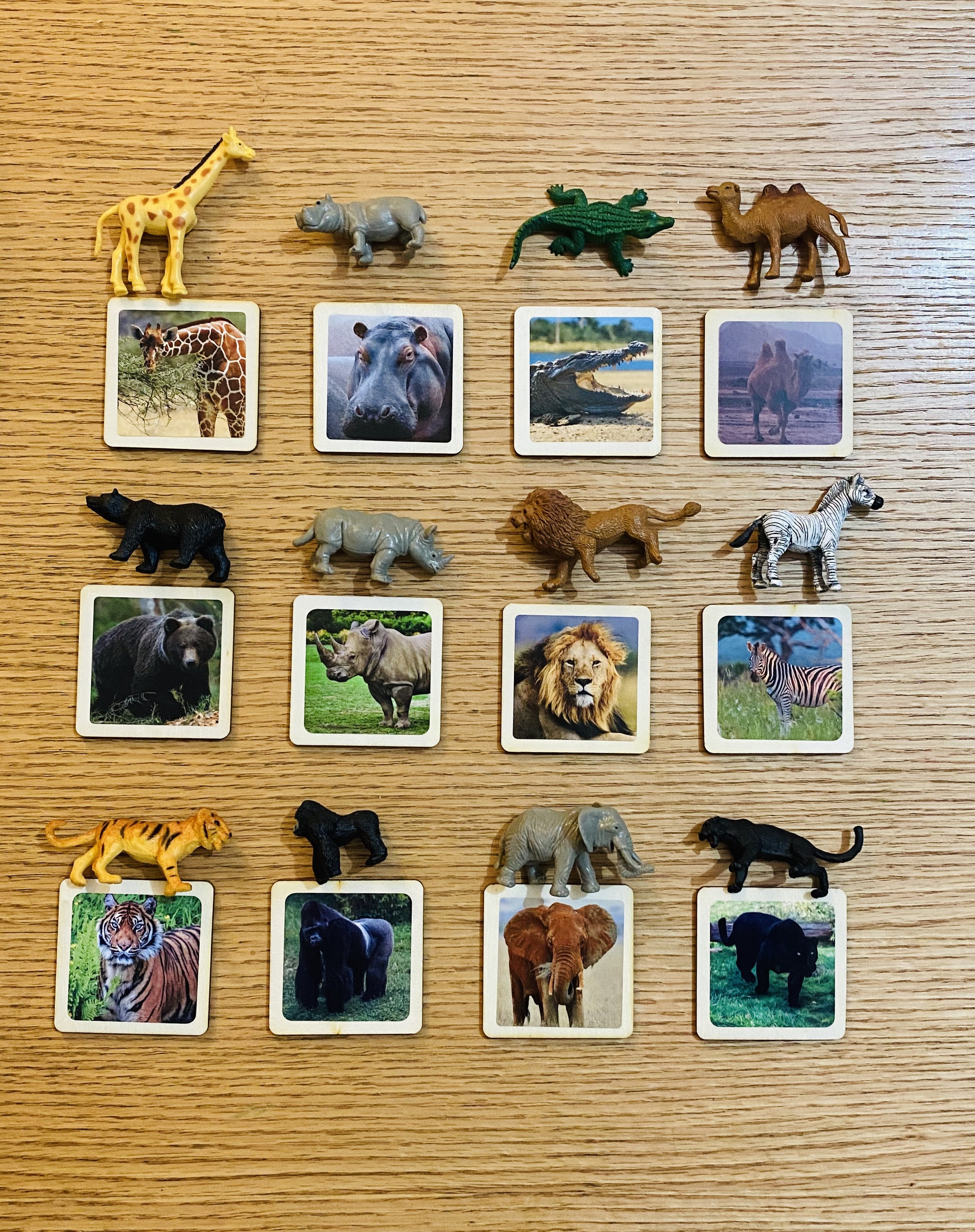 Montessori Wild Animal Matching Game, Safari TOOB, Wooden Toy - Etsy