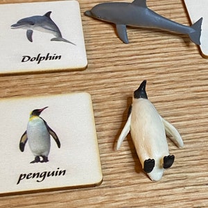 Montessori and Waldorf Learning Sea Life Animals Sustainable Match Toys ...