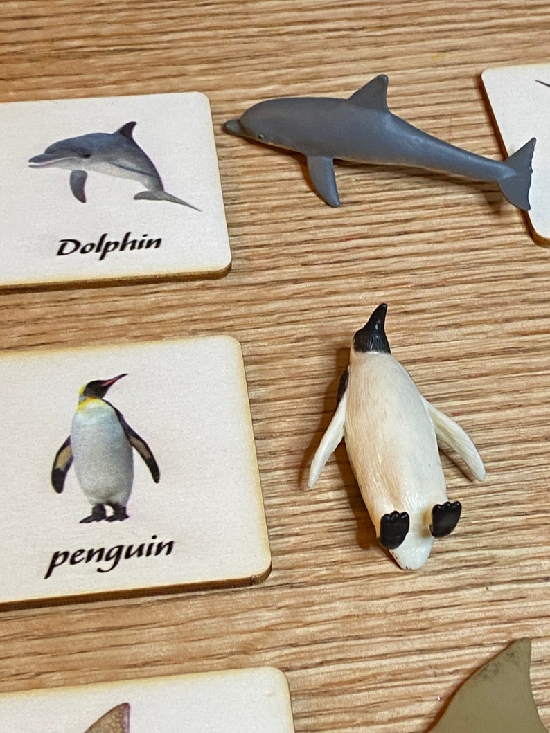 Montessori Sea Life Animal Toys With Wooden Matching Cards - Etsy