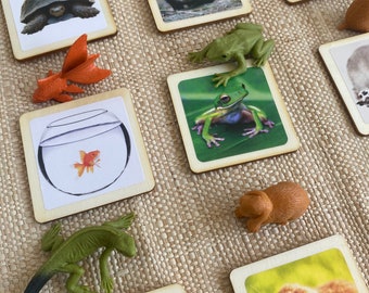 Montessori and Waldorf Learning Wild Animals Sustainable Match - Etsy