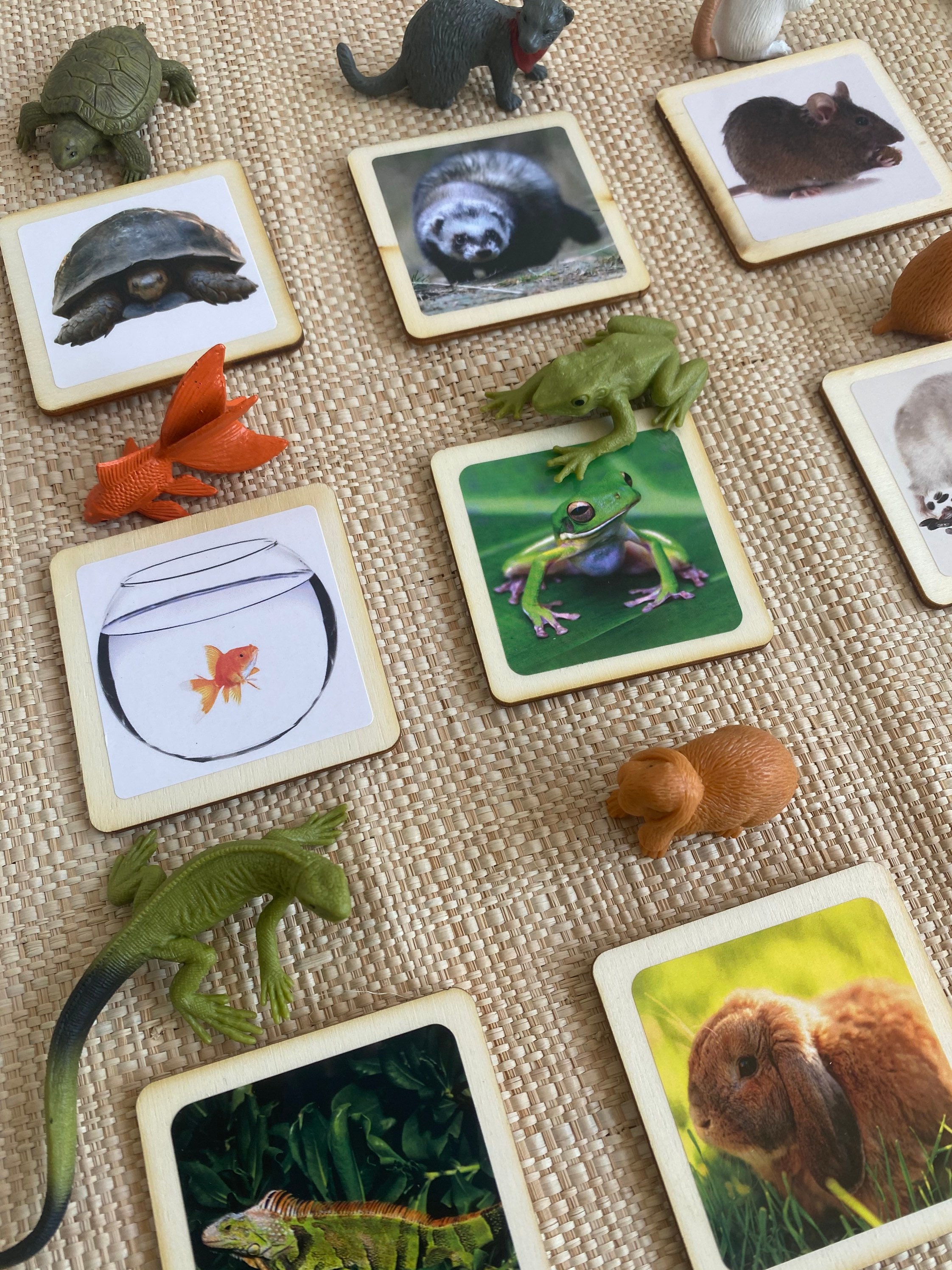 Montessori Safari Animal Matching Cards, Wooden Learning Toy - Etsy
