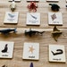 Montessori and Waldorf Learning Sea Life Animals Sustainable Match Toys ...
