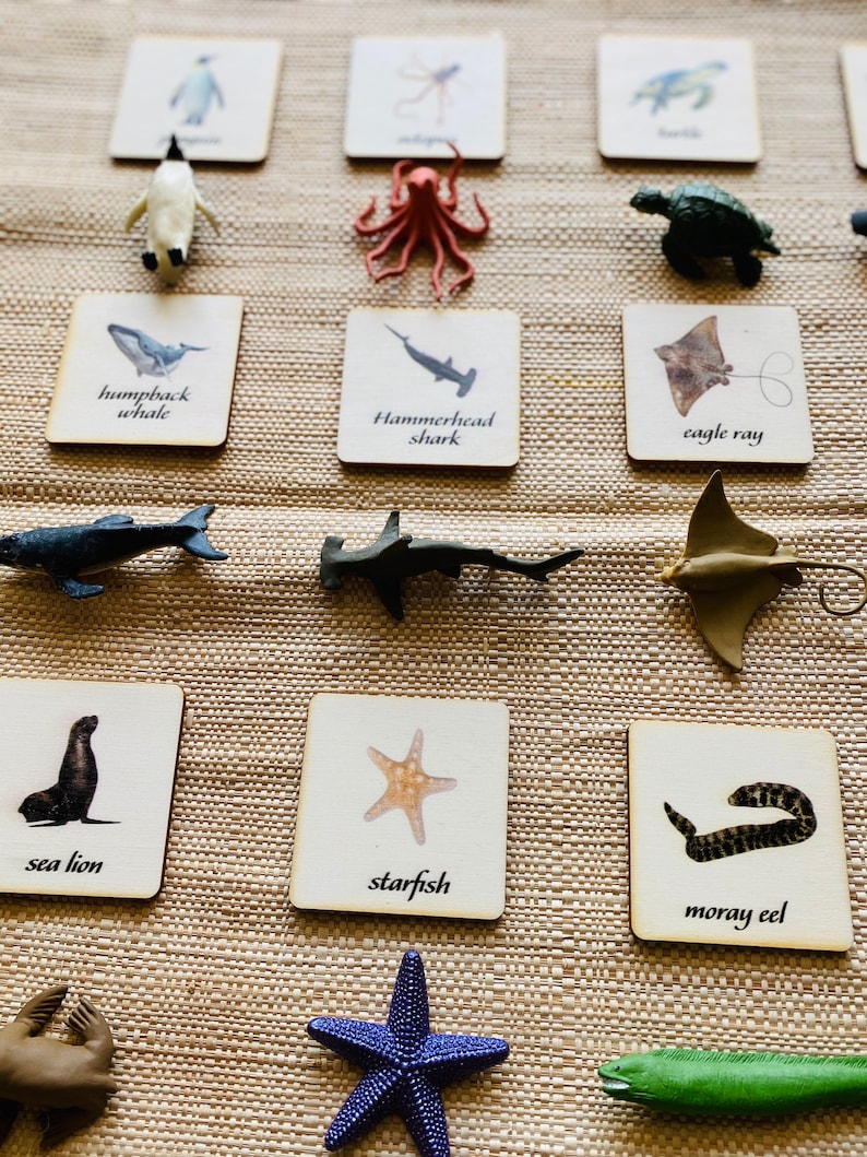 Montessori and Waldorf Learning Sea Life Animals Sustainable - Etsy
