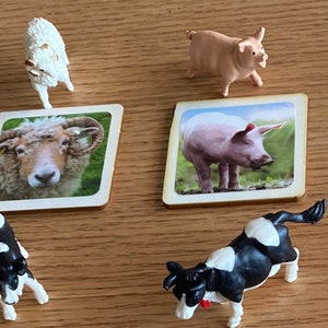 Montessori and Waldorf Learning Farm Animal Sustainable Match Toys ...