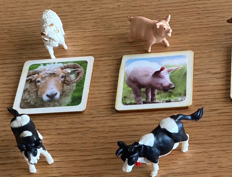 Montessori and Waldorf Learning Farm Animal Sustainable Match - Etsy