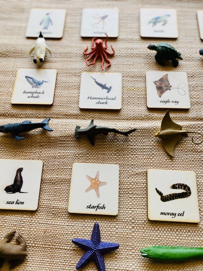 Sea Life Animal Montessori Matching Cards, Homeschool Learning - Etsy