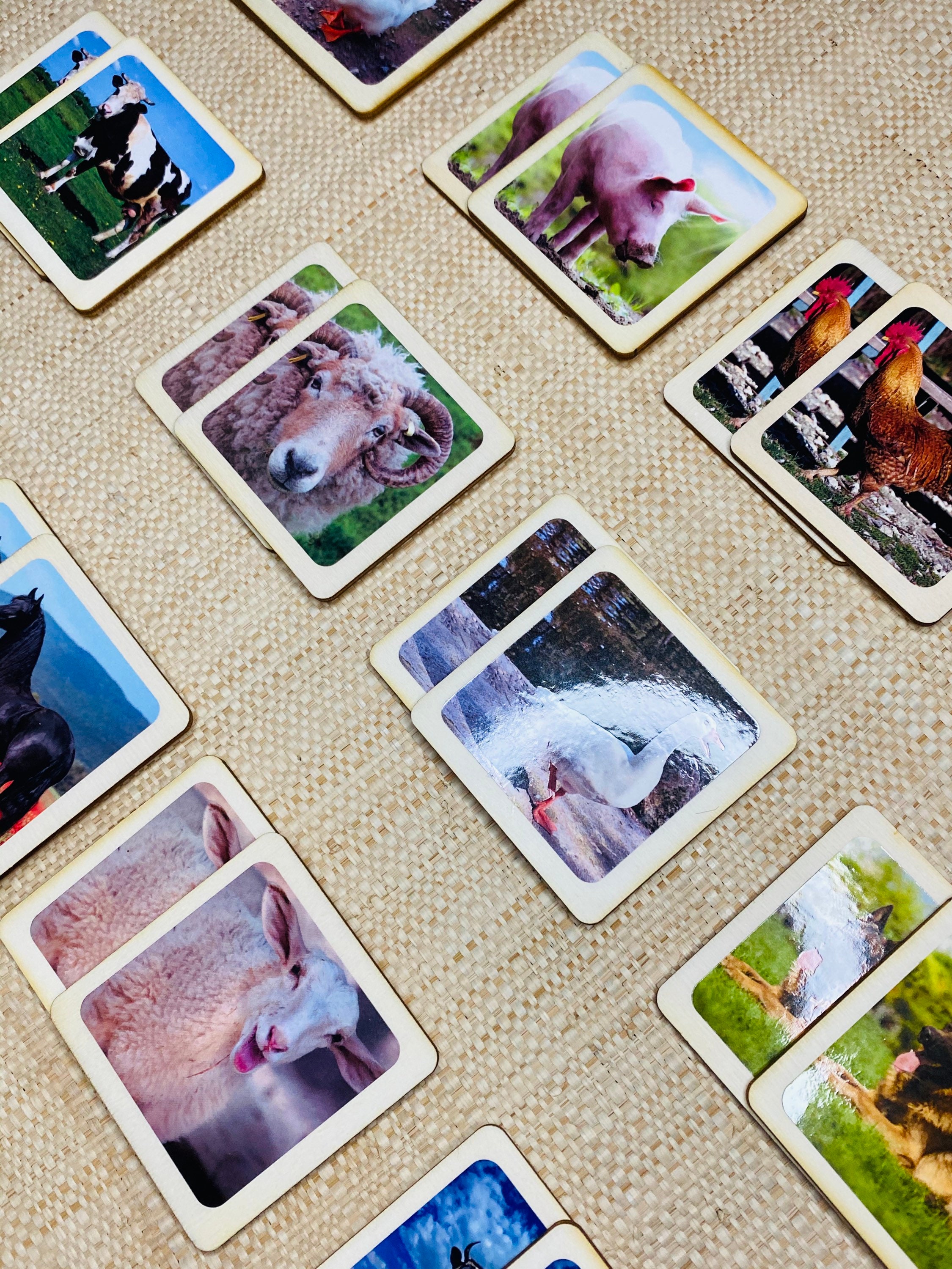 24 Pieces Animals Wooden Memory Game Montessori and Waldorf - Etsy