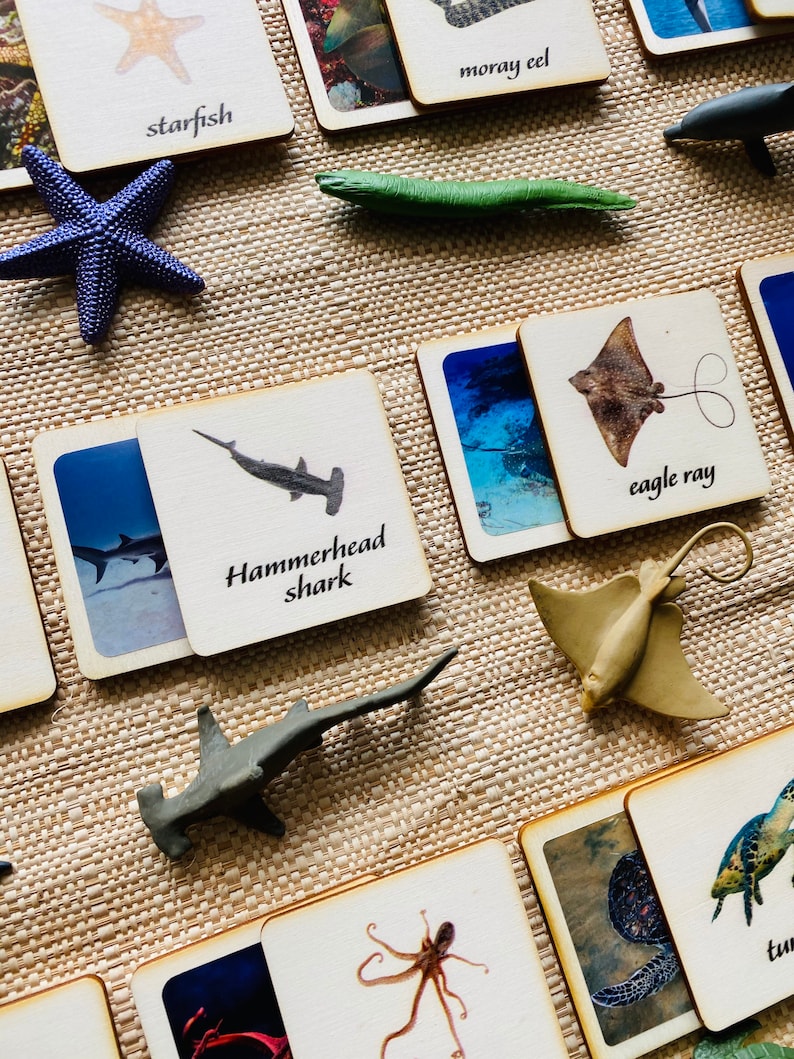 3 Parts Montessori and Waldorf Learning Sea Life Animals - Etsy