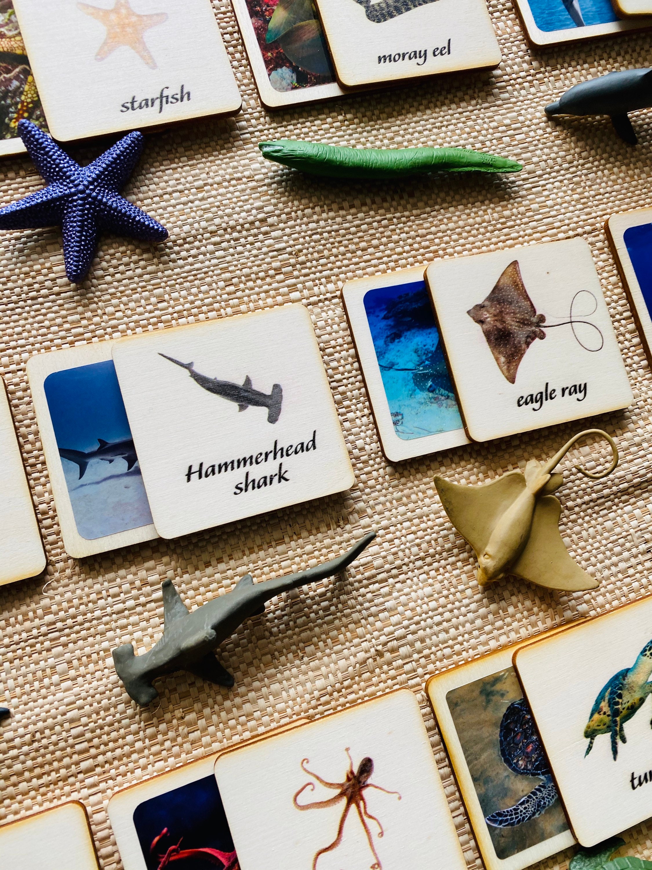 Montessori Sea Life Matching Game – Wooden Animal Cards - Etsy