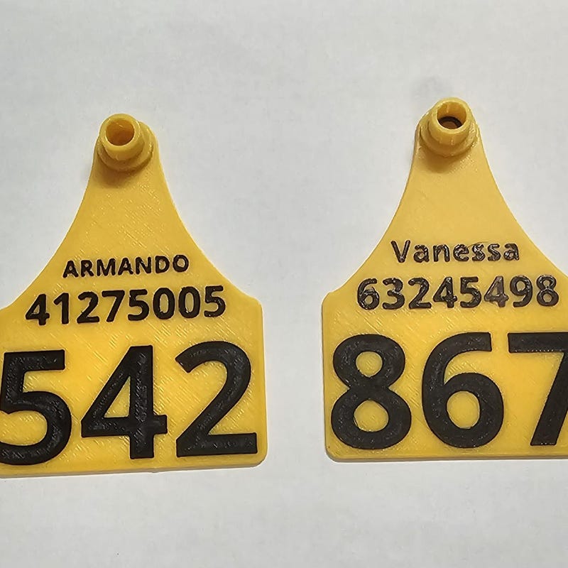 Custom Ear Tags - Etsy