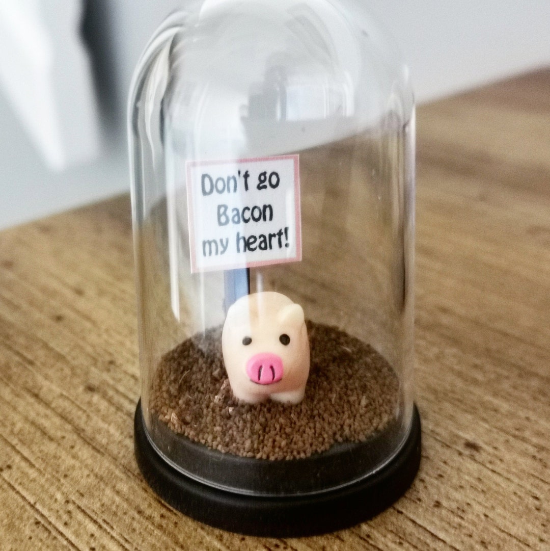 Miniature Pig in a Display Case Personalised Message Pig Gift - Etsy