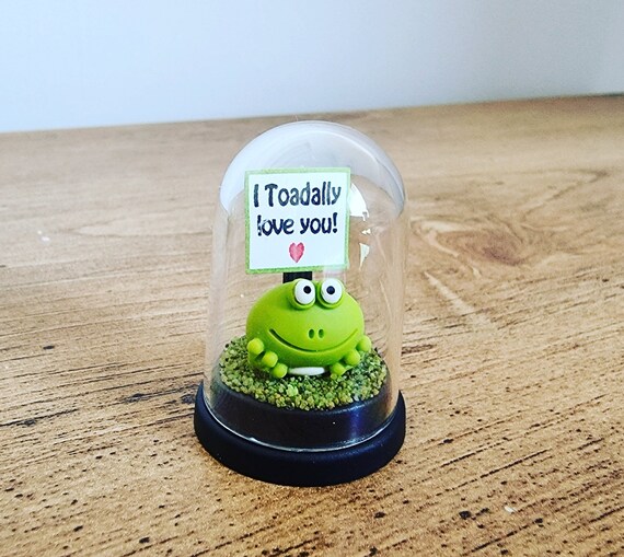 Frog Gift Toad Gift Personalised Message Gift Miniature - Etsy