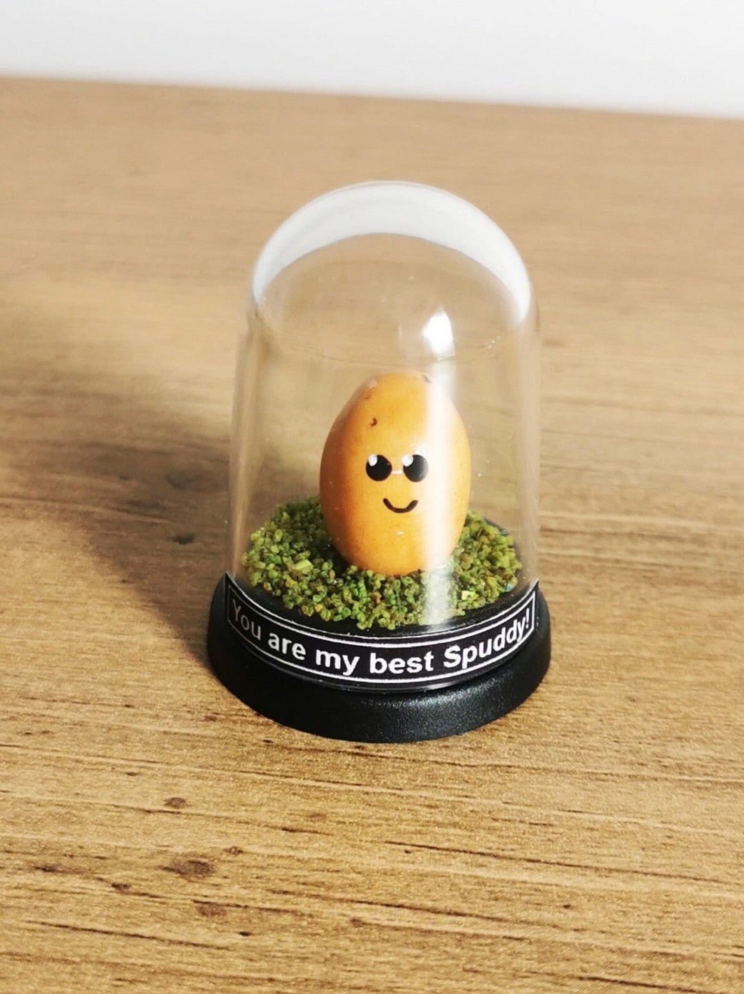 Miniature Potato Gift, Spud Gift, Girlfriend Gift, Boyfriend Gift ...