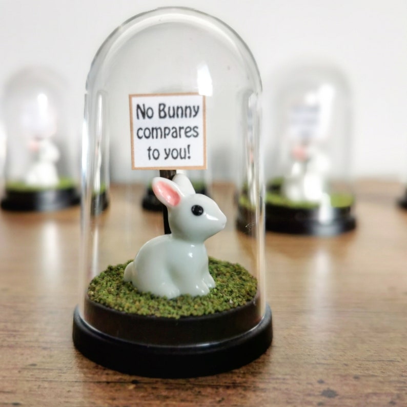 Miniature Personalised Bunny Rabbit Gift Girlfriend Gift - Etsy UK