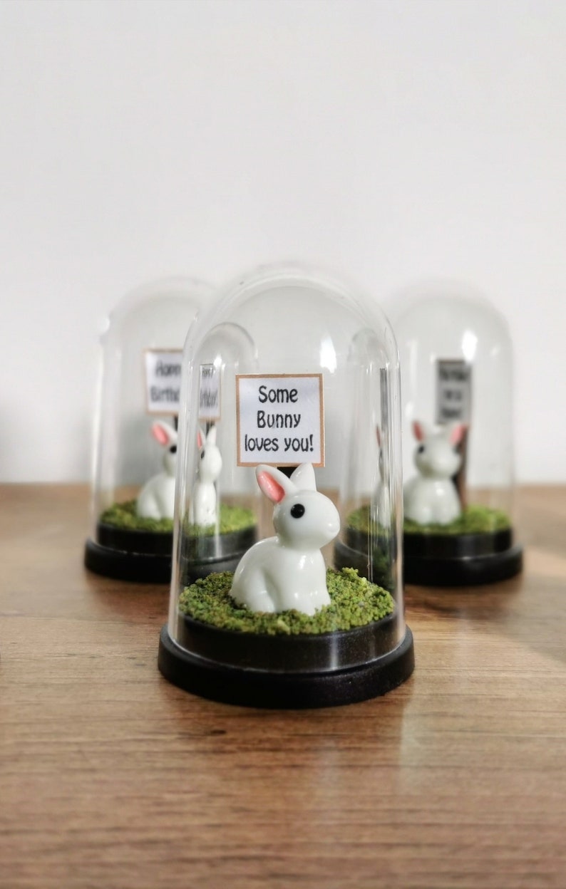 Miniature Personalised Bunny Rabbit Gift Girlfriend Gift - Etsy UK