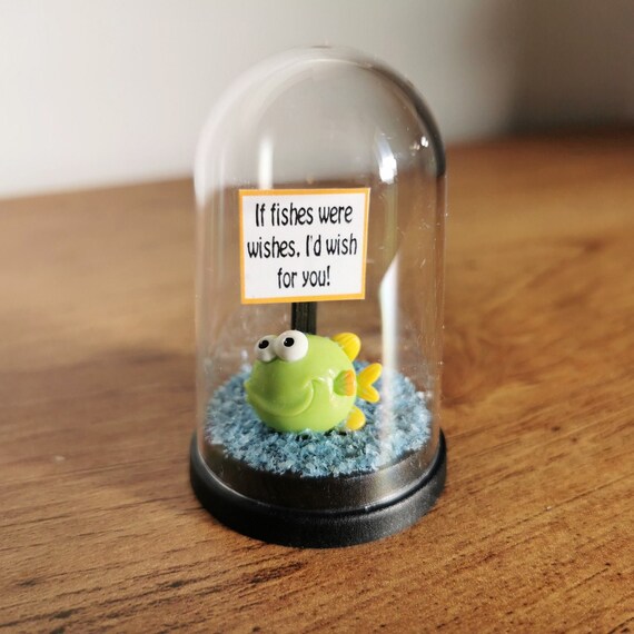 Miniature Fish in a Display Case Fish Giftpersonalised | Etsy UK