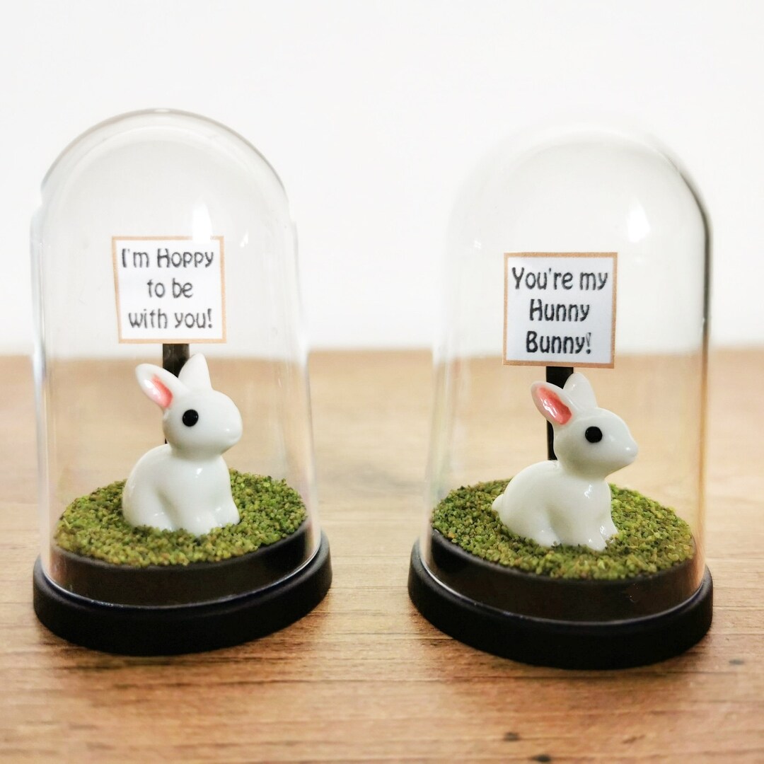 Miniature Personalised Bunny Rabbit Gift, Girlfriend Gift, Boyfriend ...