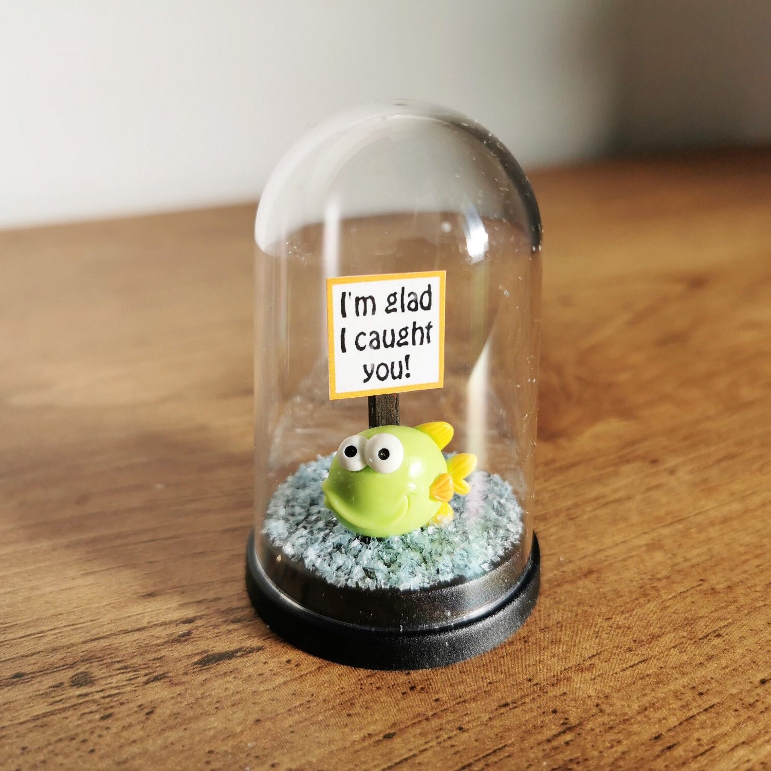 Miniature Fish in a Display Case Fish Giftpersonalised | Etsy UK