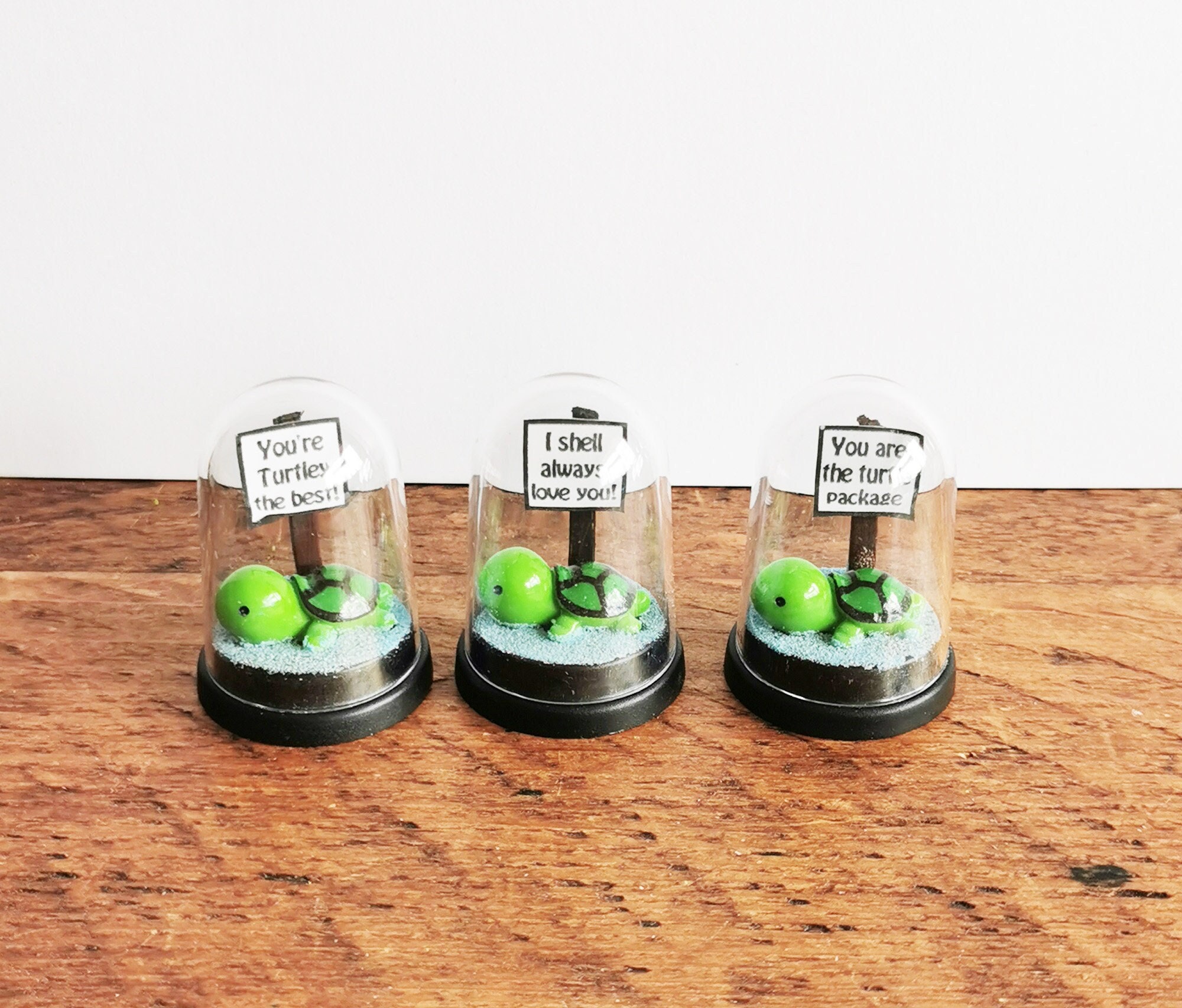 Miniature Turtle Gift, Personalised Turtle Message in a Bottle, Turtle ...