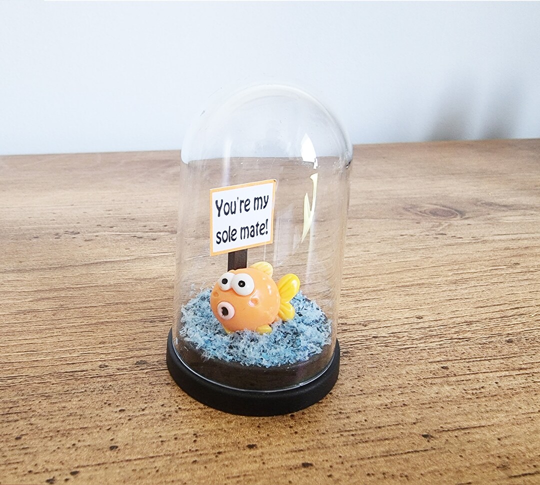 Miniature Fish in a Display Case Fish Giftpersonalised - Etsy