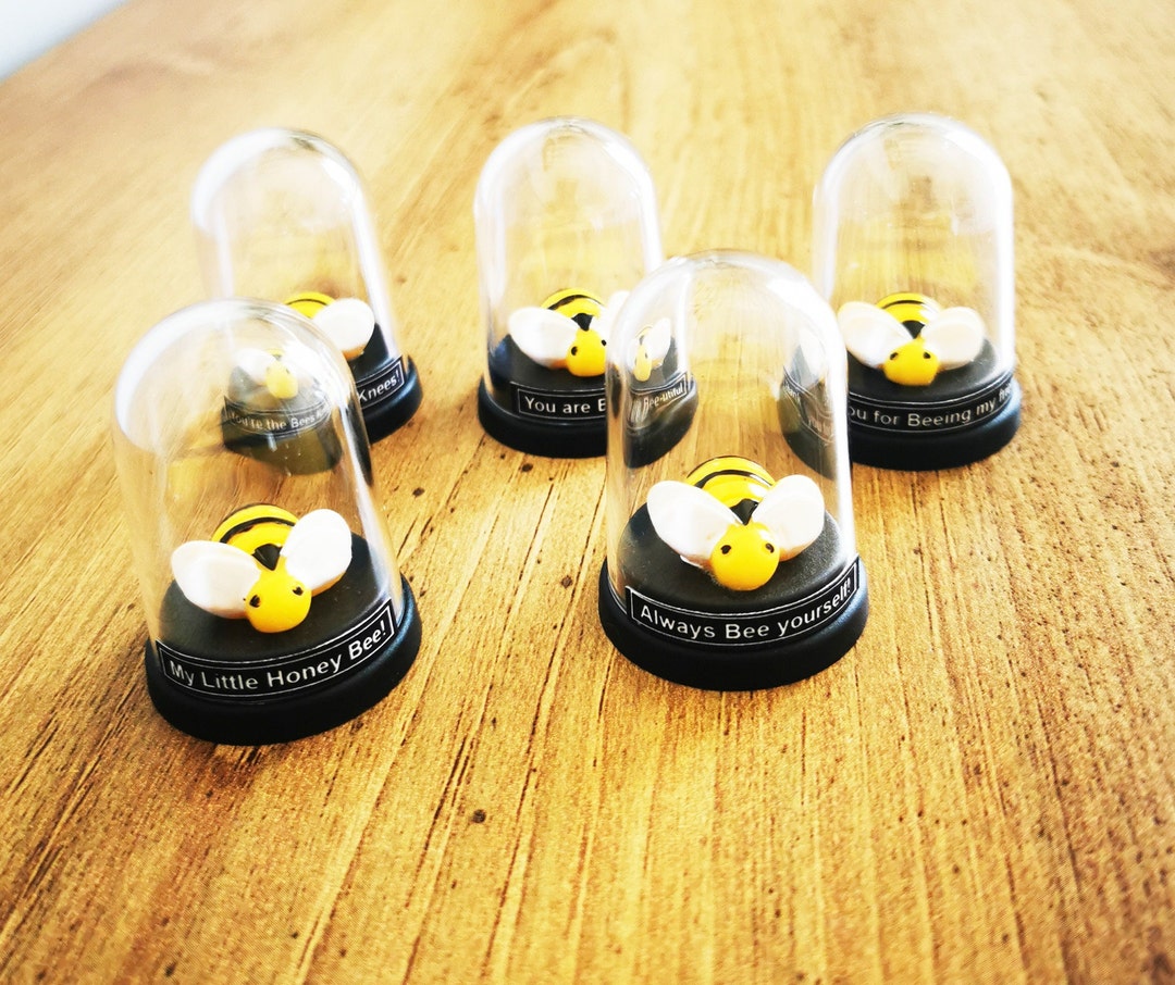 Miniature Bumble Bee Gift, Personalised Bee Pun Message in Display Dome, Motivational Bee Gift ...
