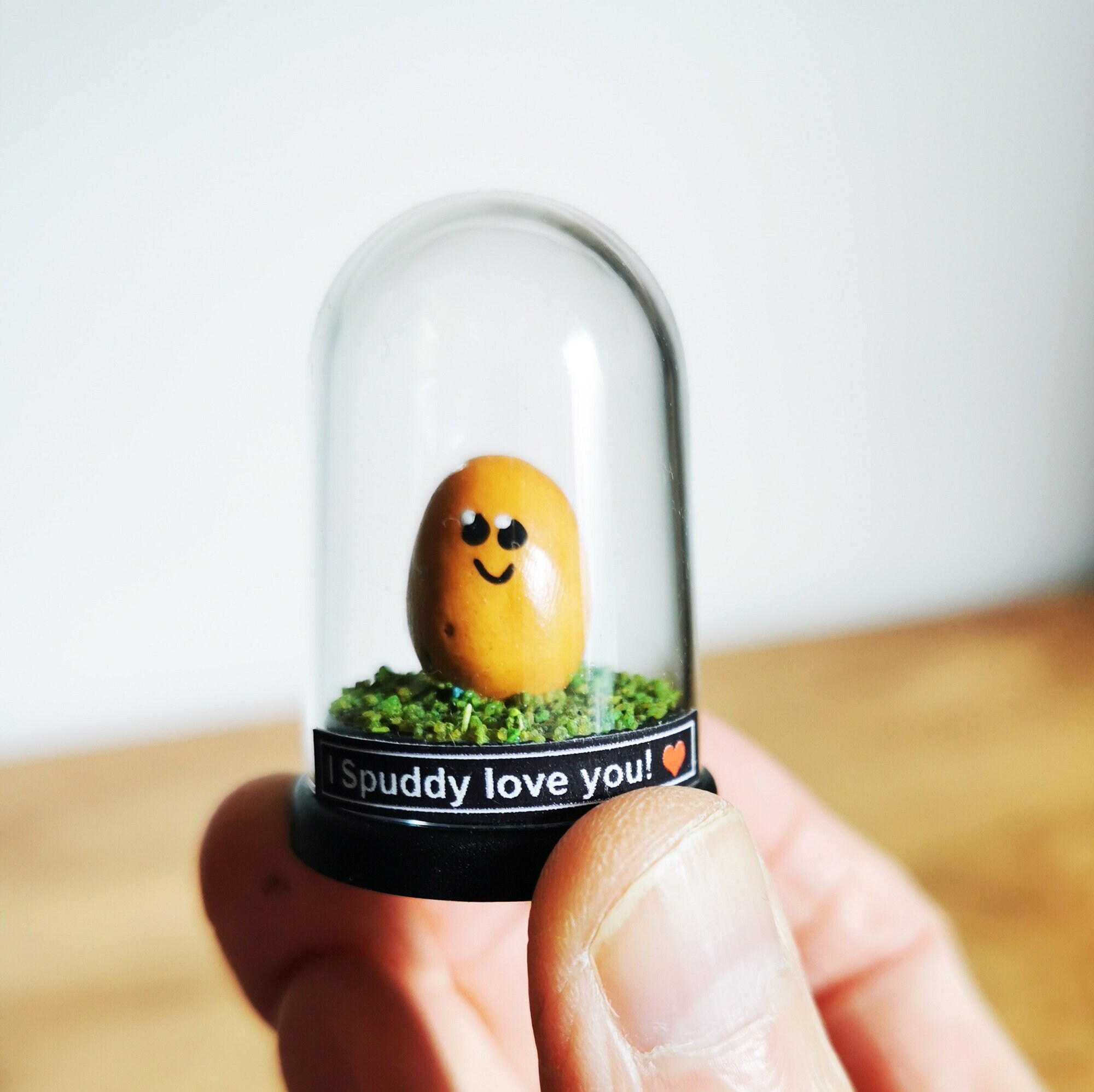 Miniature Potato Gift, Spud Gift, Girlfriend Gift, Boyfriend Gift ...