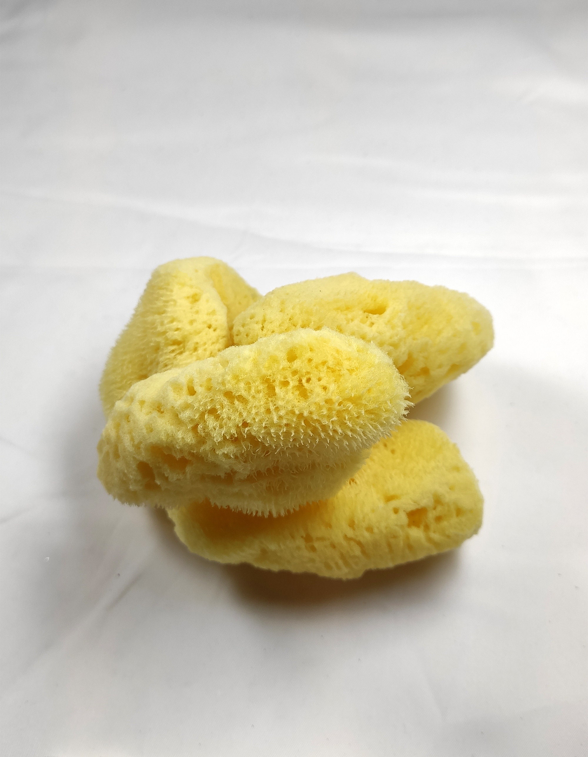 Natural Sea Greek Silk Sponges 2.02.50 - Etsy UK