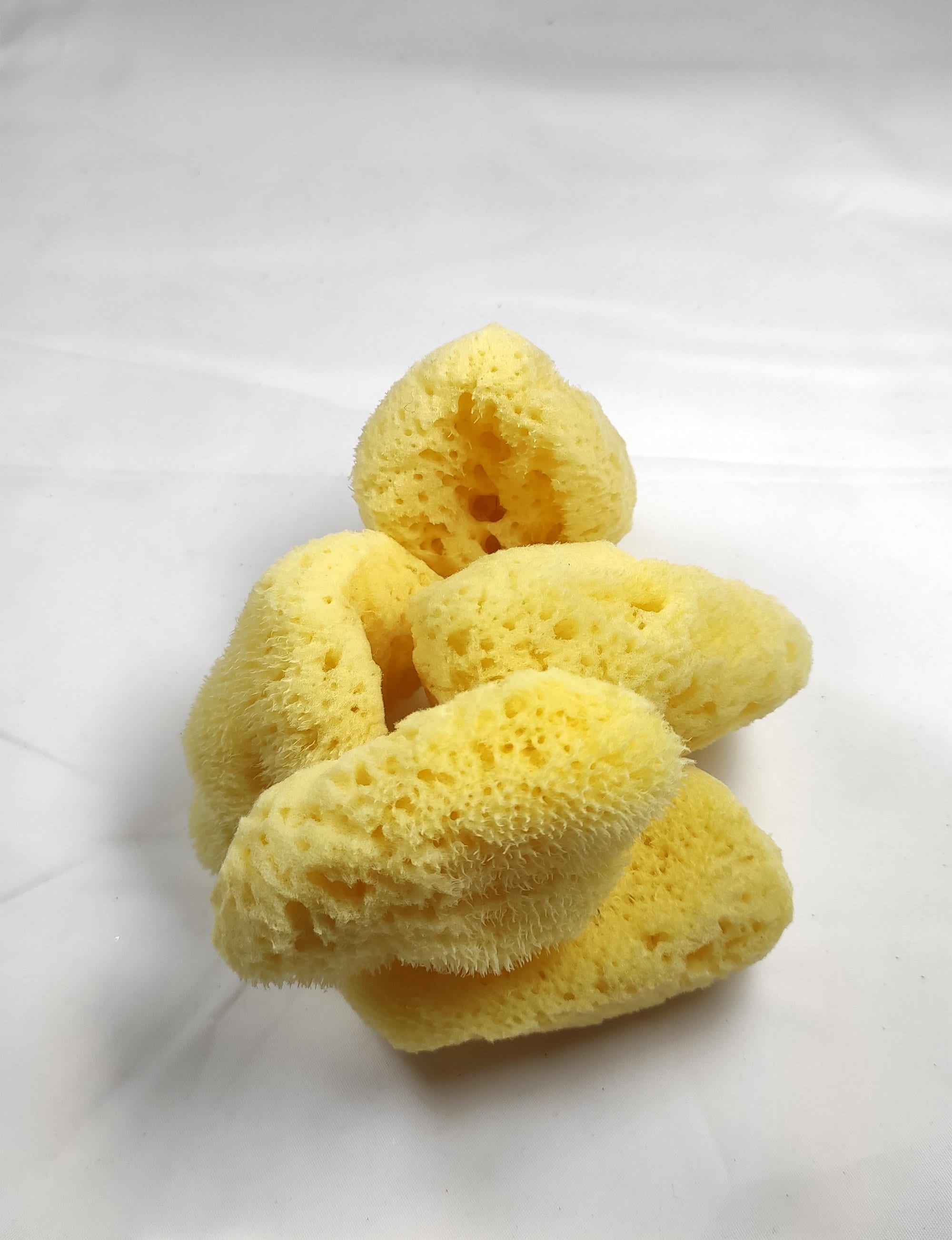 Natural Sea Greek Silk Sponges 2.02.50 | Etsy