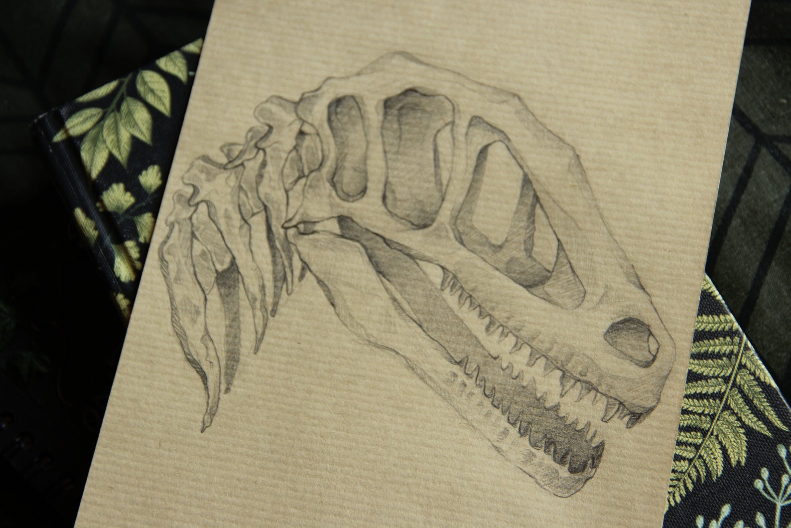 Original Drawing Velociraptor Skull A5 - Etsy