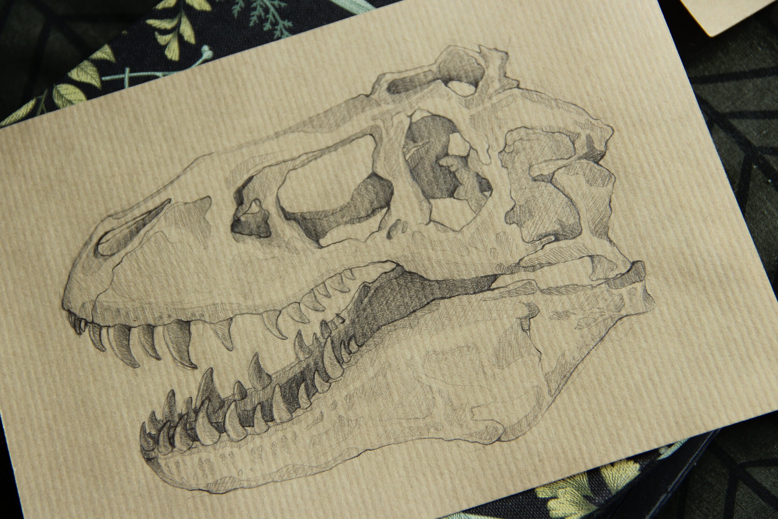 Original T-rex Skull Drawing A5 - Etsy