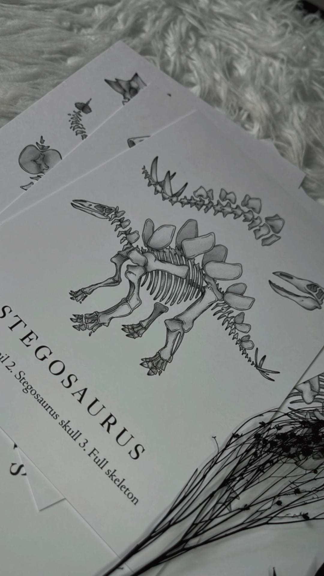 HERBIVORE DINOSAUR BUNDLE Prints / Ankylosaurus / Parasaurolophus ...