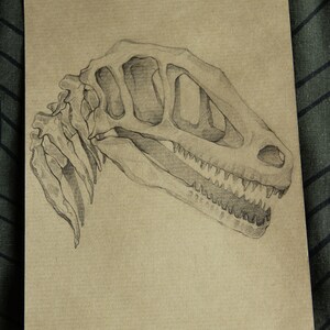 Original Drawing Velociraptor Skull A5 - Etsy