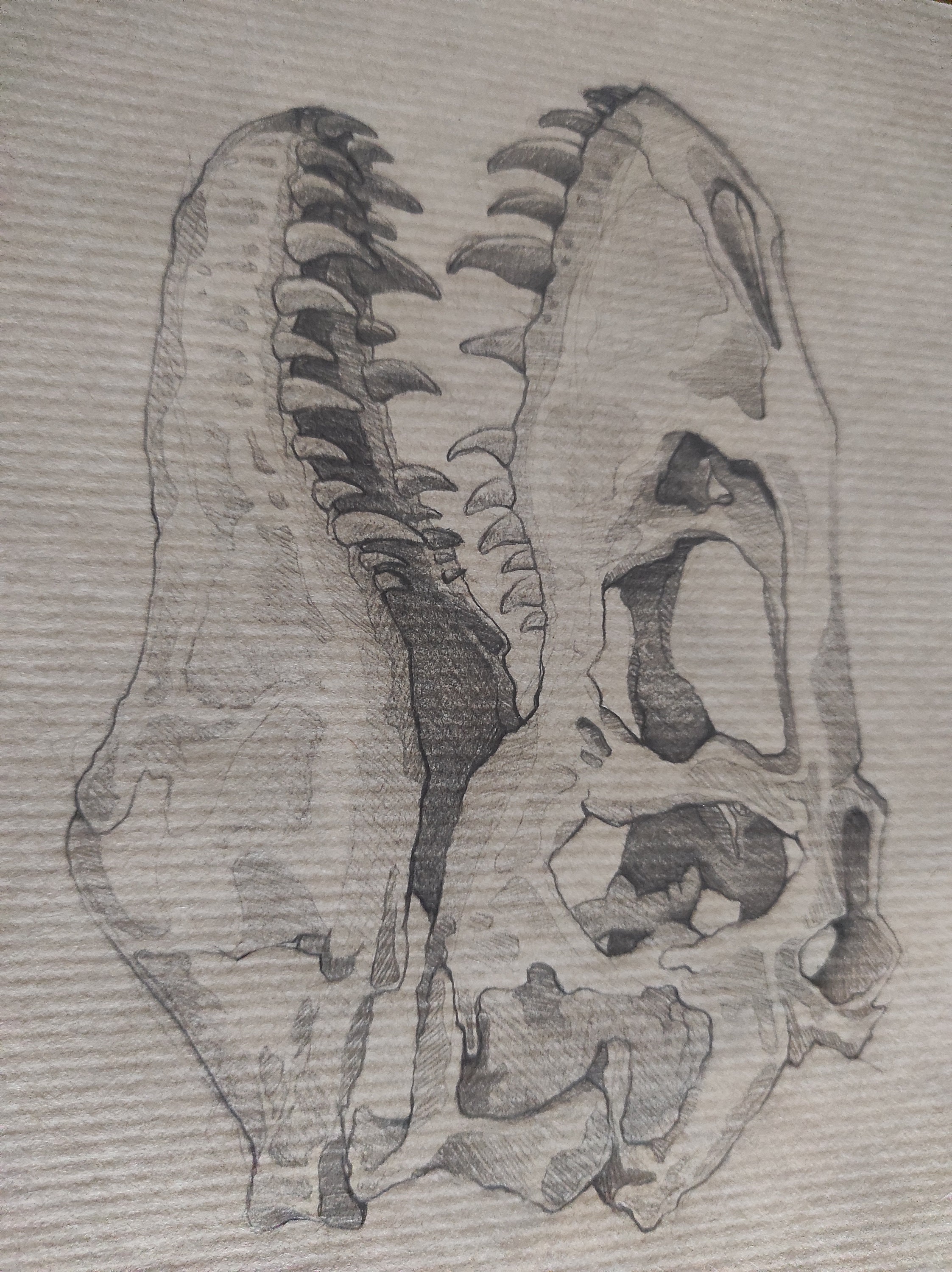 Original T-rex skull drawing A5 | Etsy