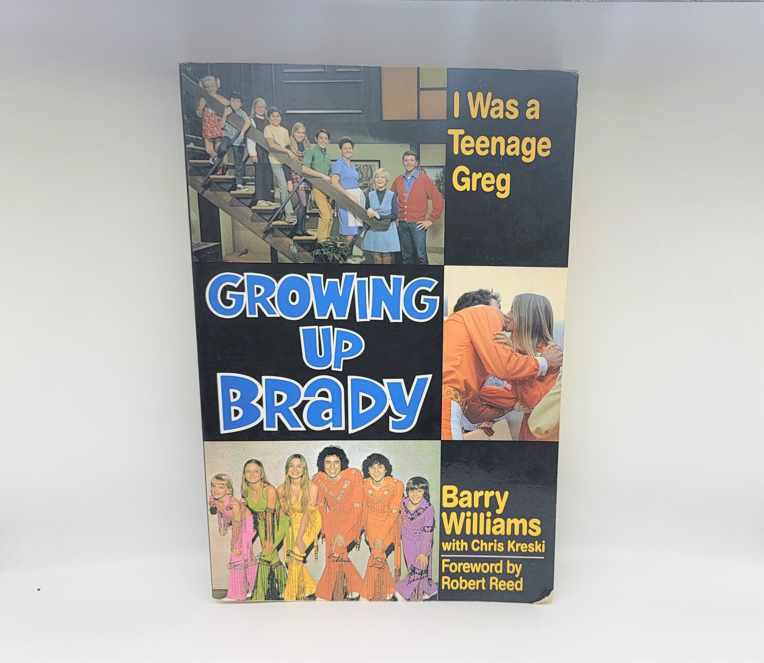 Growing Up Brady Book