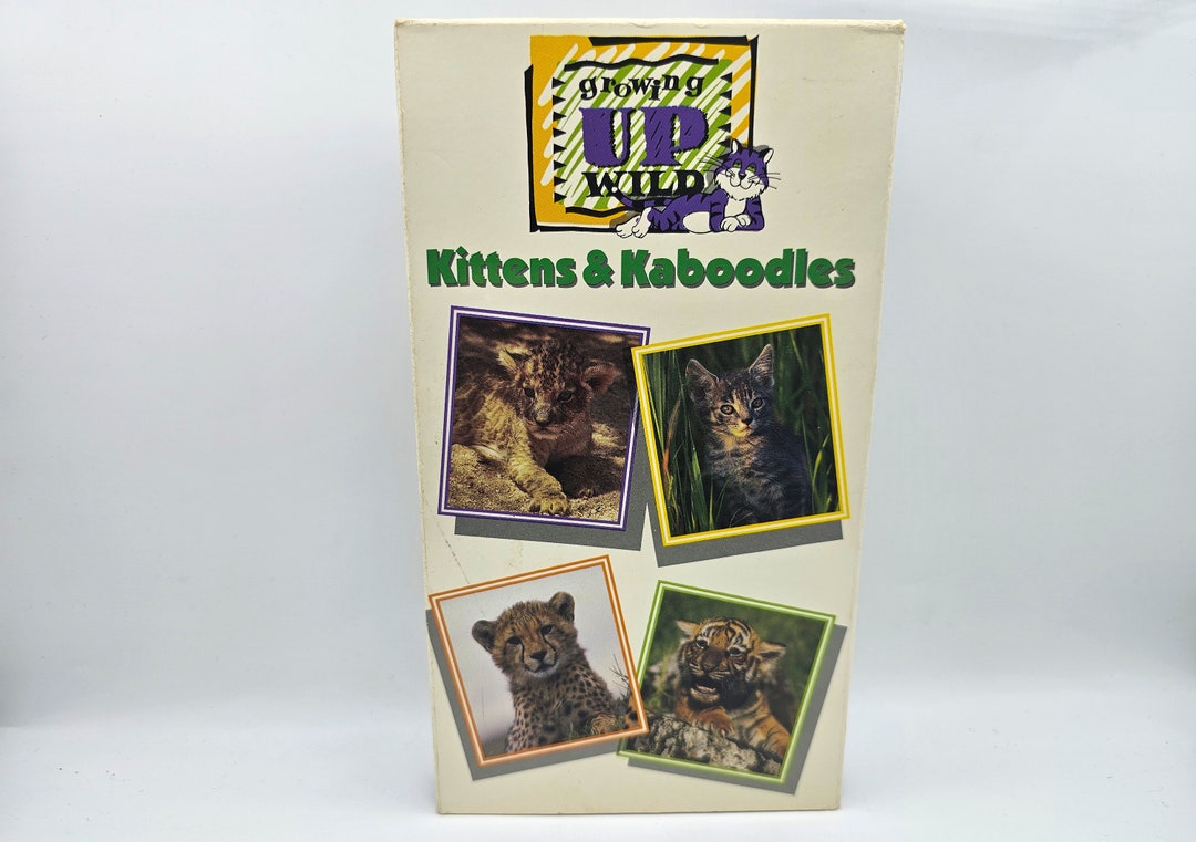 Kittens & Kaboodles VHS Growing up Wild Vintage Cats Time Life Home ...