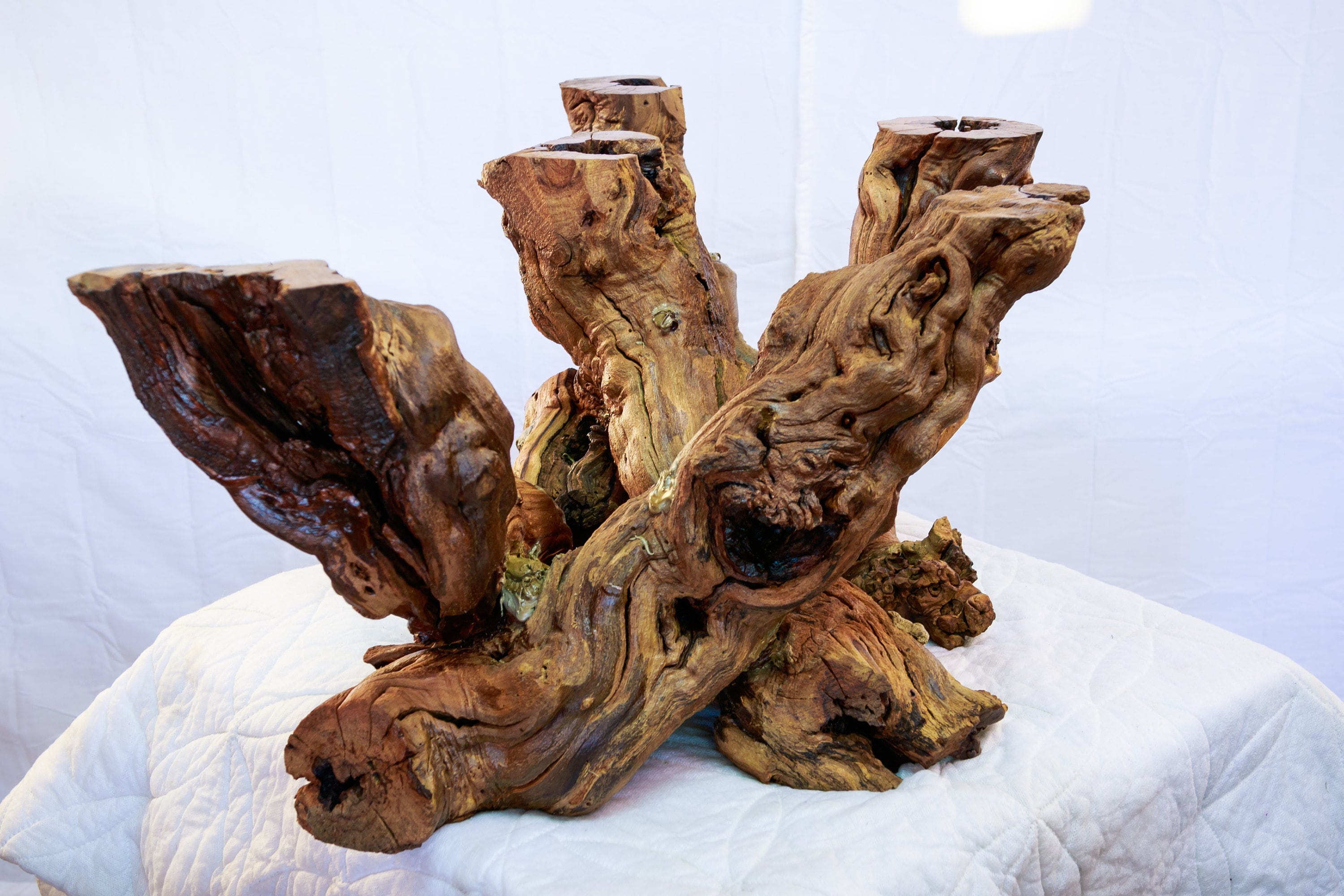 Grapevine Coffee Table - *real Wood!* Made From Retired California ...