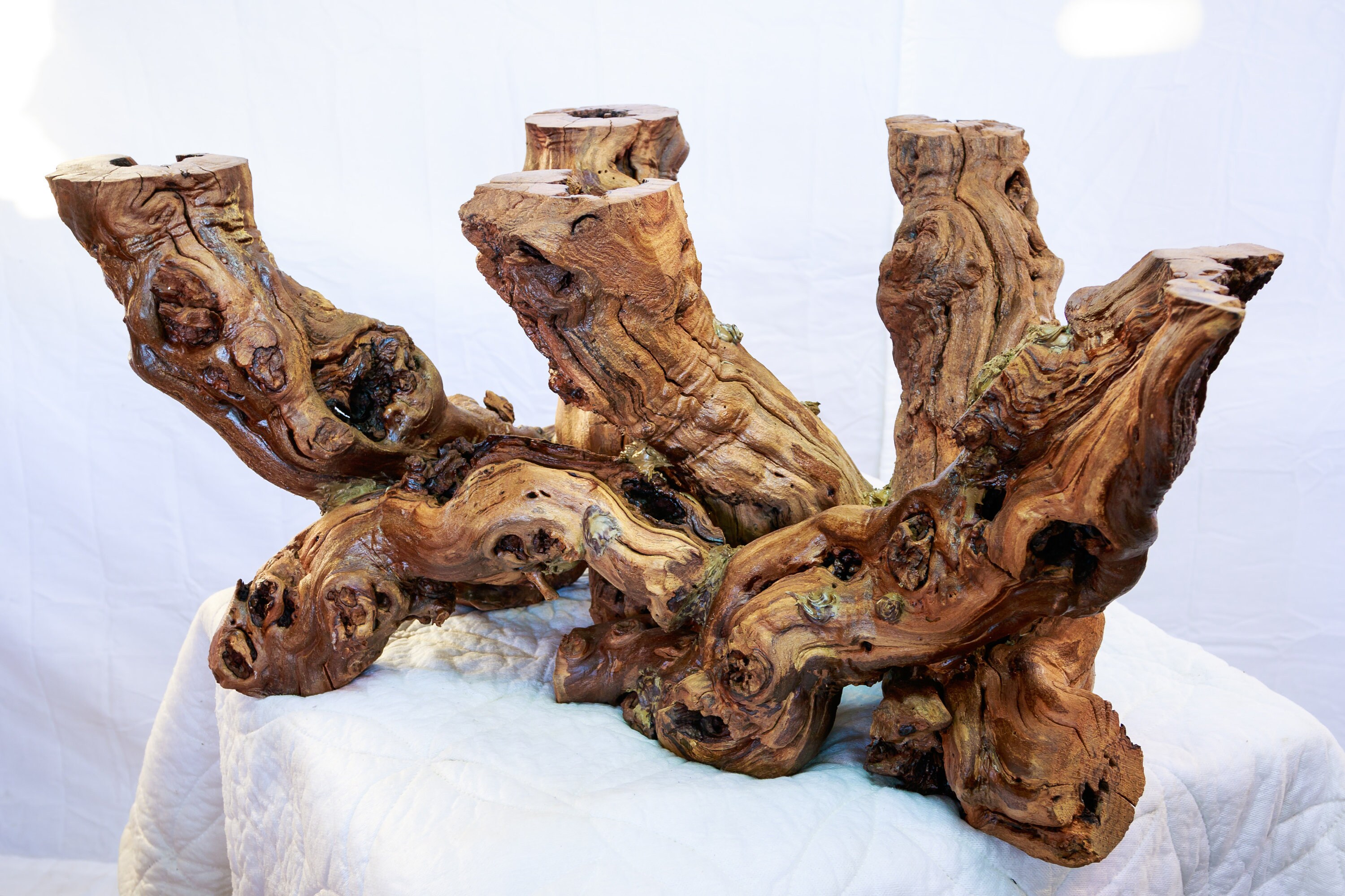 Grapevine Coffee Table real Wood Made From Retired California ...