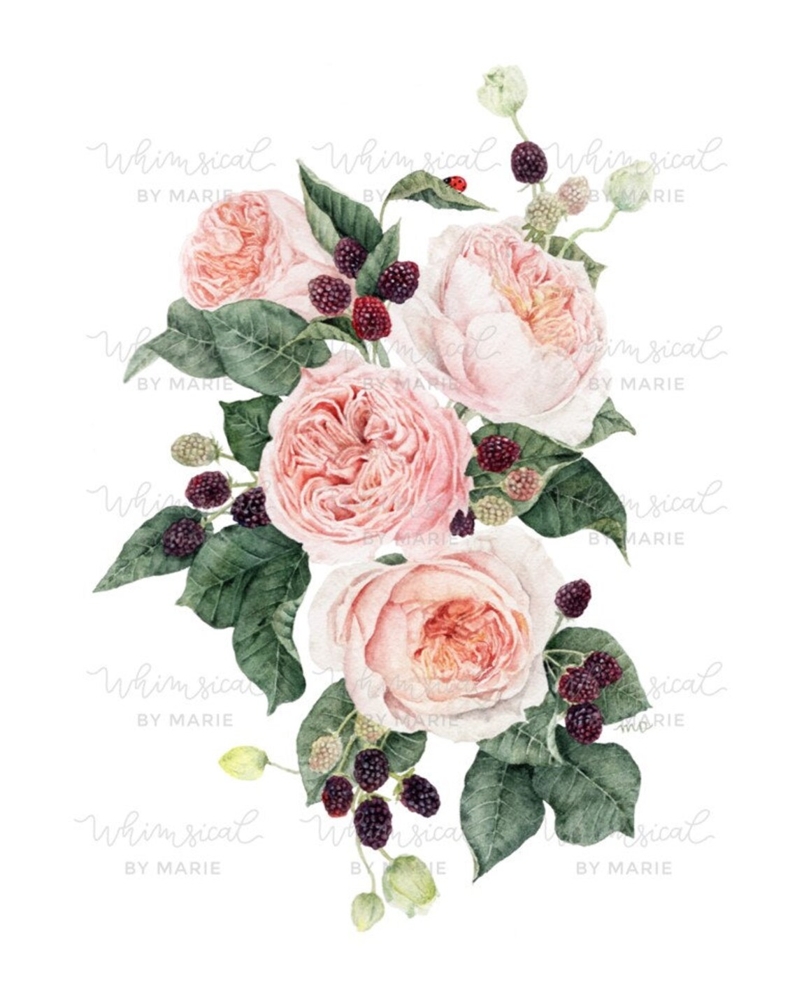Sweet Juliet Juliet Rose Print WATERCOLOR Home Decor - Etsy