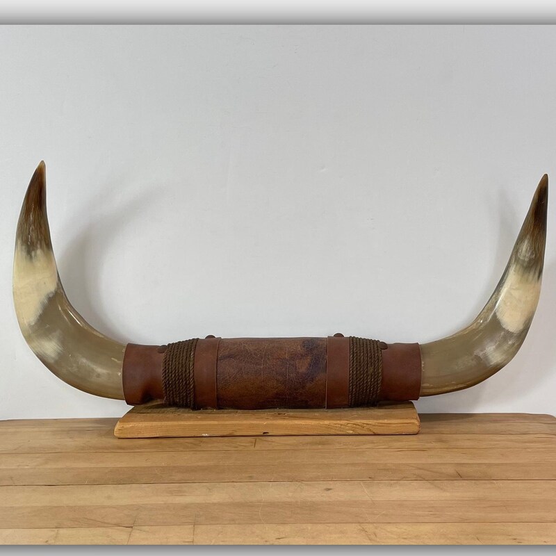 Bull Horn - Etsy