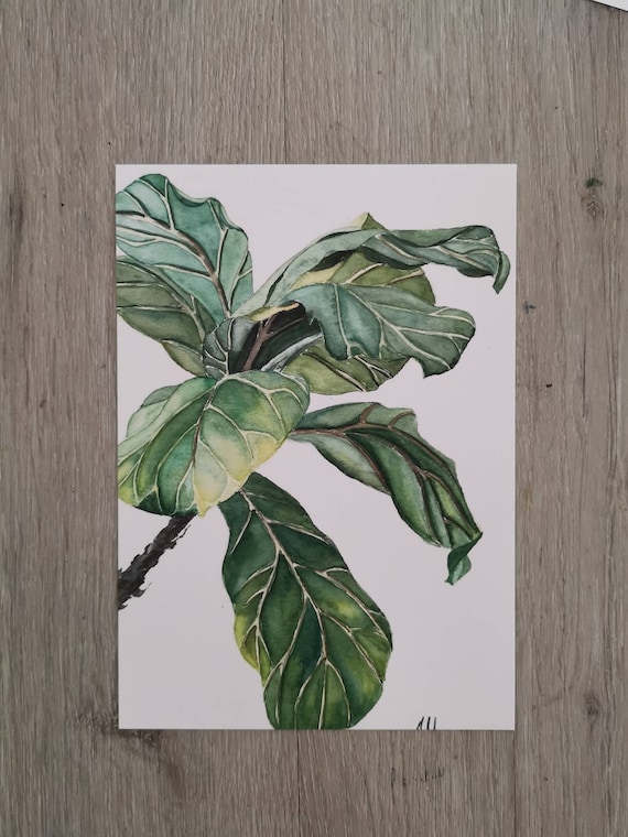 Fiddle Leaf Fig Three Print A5 | Etsy