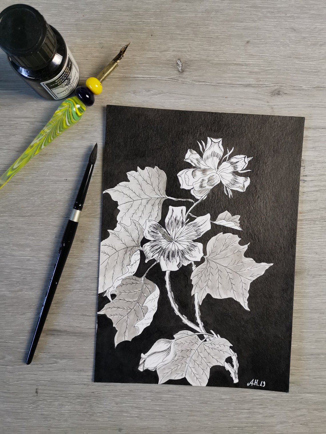 Mallow - Botanical Ink Illustration - 24x17cm - Etsy