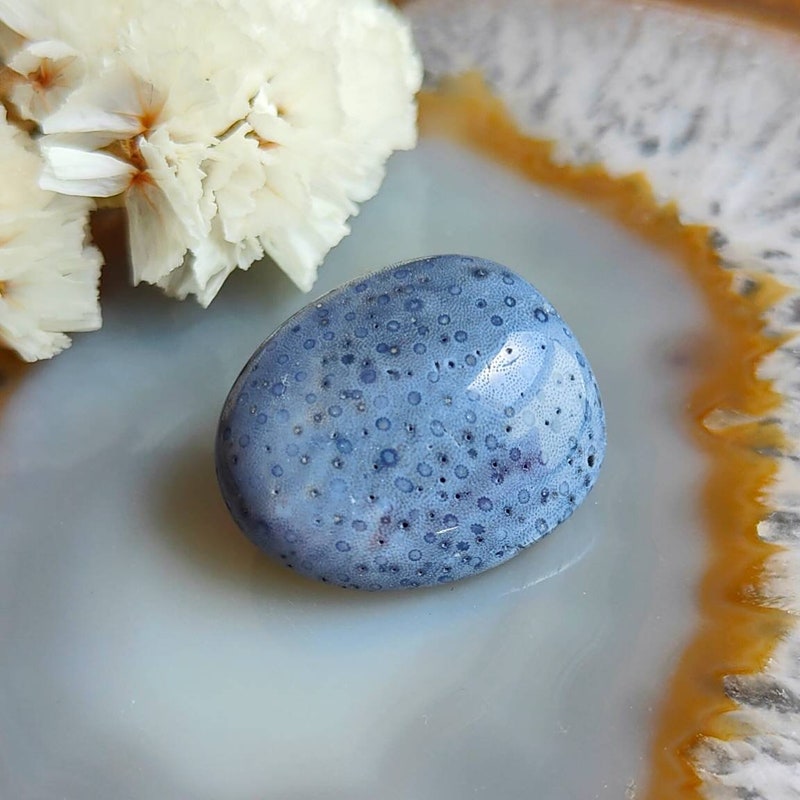 Blue Coral Jewelry - Etsy